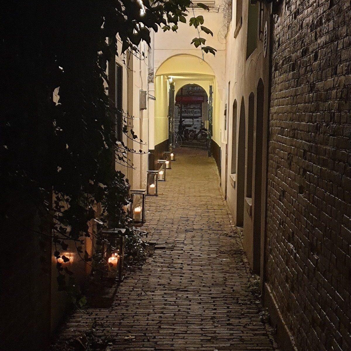 About - Restaurant Bellezza